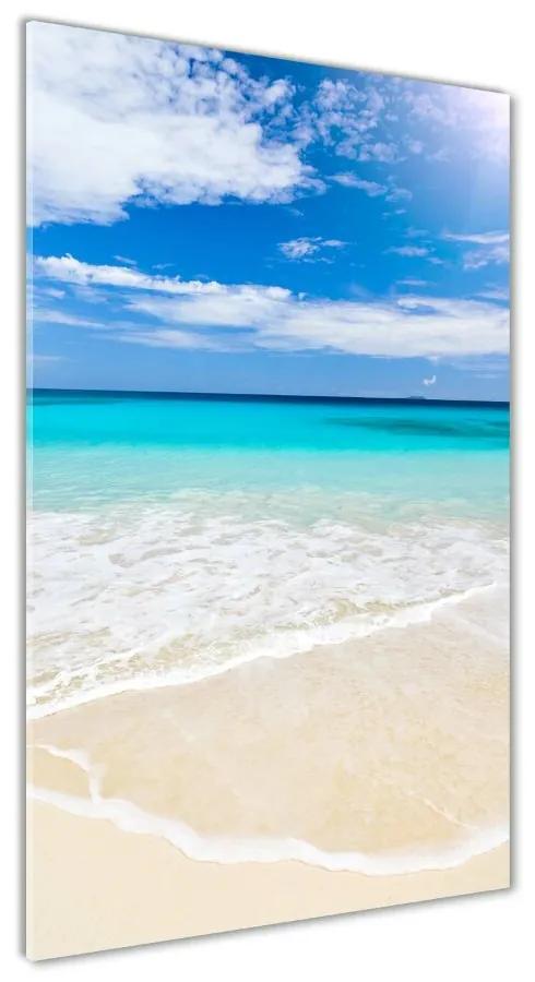 Wallmuralia Vertikální Foto obraz skleněný svislý Tropická pláž 50x100
