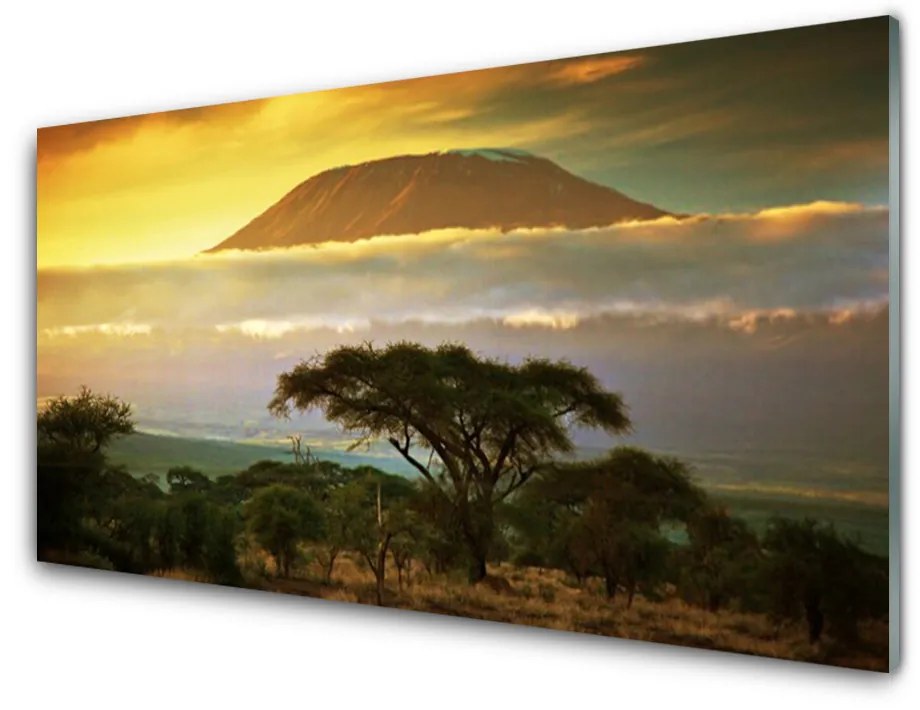 Obraz na skle Strom Hory Příroda 120x60 cm