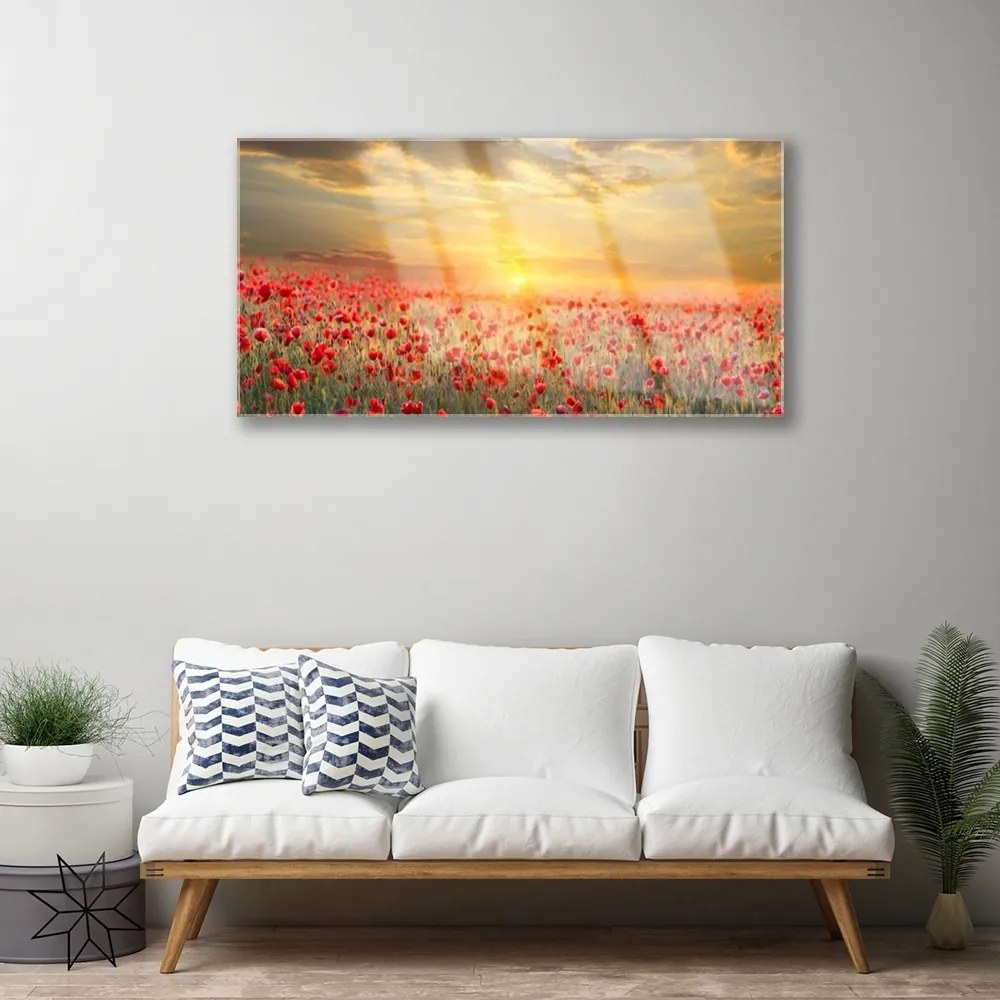 Obraz na skle Slunce Louka Mák Květiny 100x50 cm
