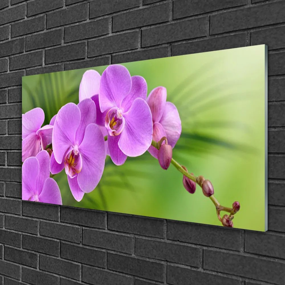 Obraz na skle Vstavač Orchidej Květiny 100x50 cm