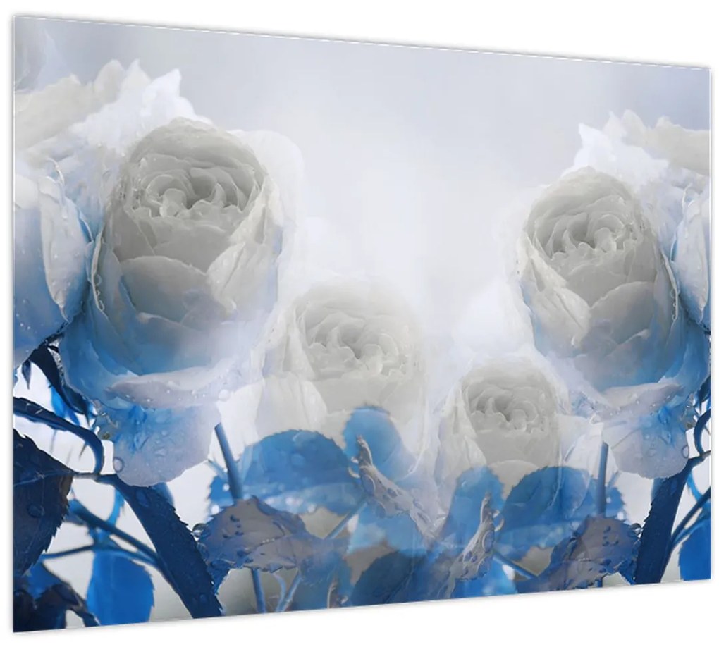 Obraz - Bílé růže (70x50 cm)