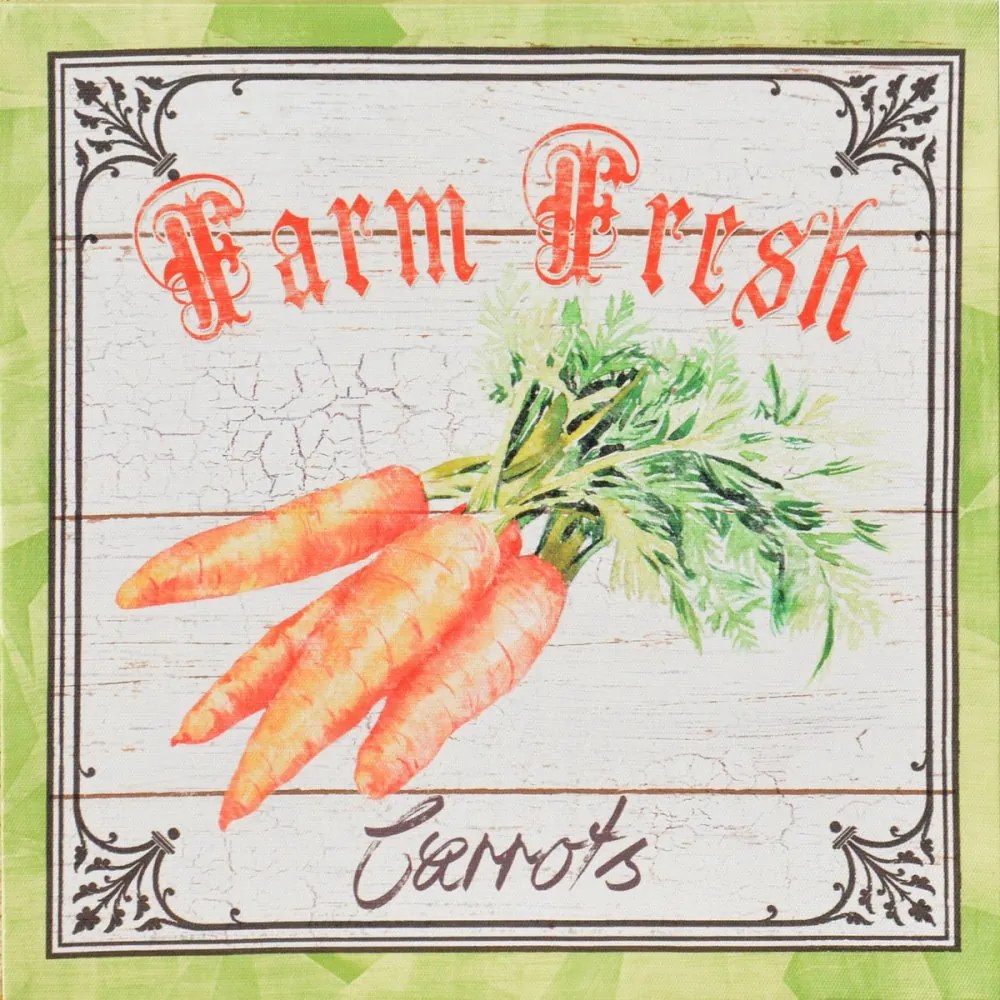 Falc Obraz na plátně - Carrot farm, 28x28 cm