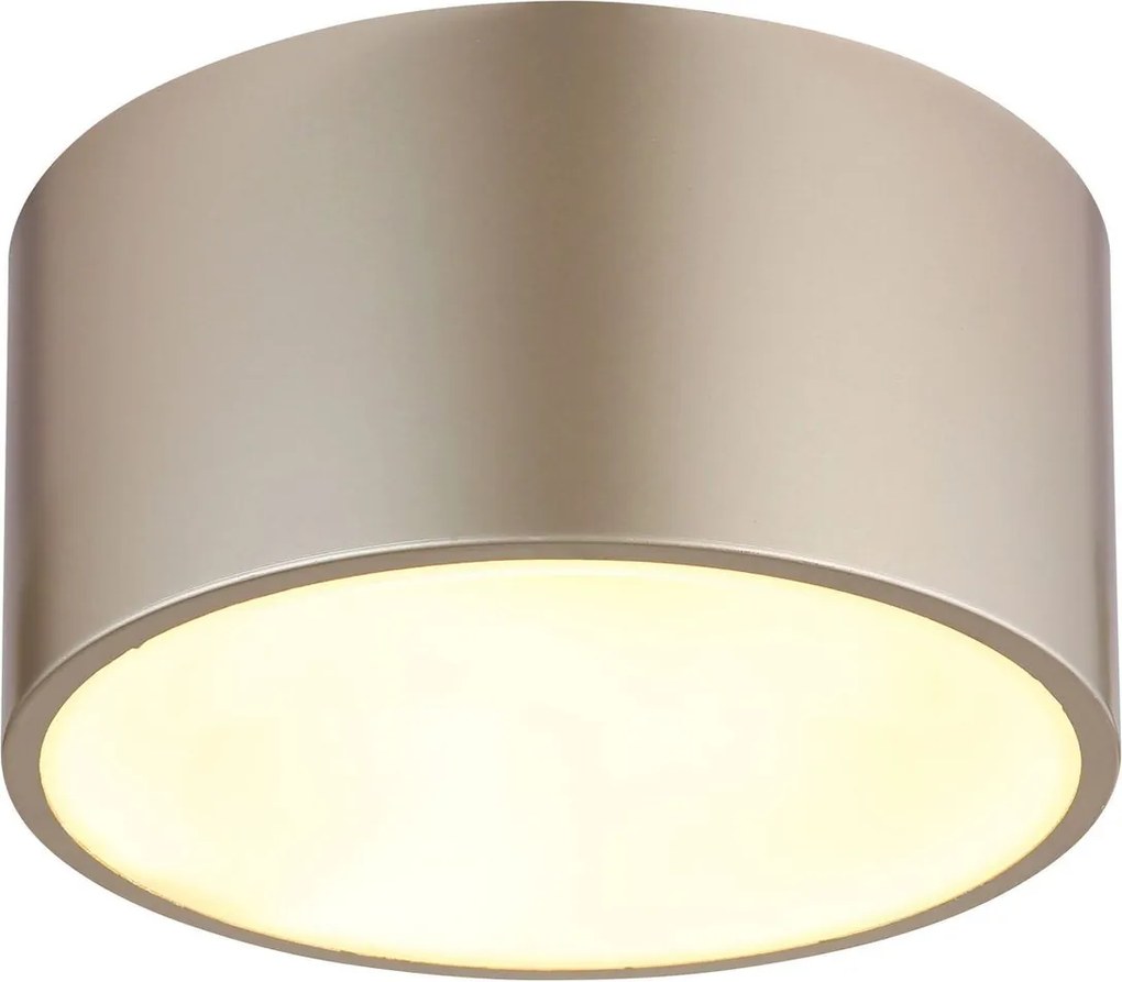 Globo RAYMOND LED stropní svítidlo, 900 lm, 12 W