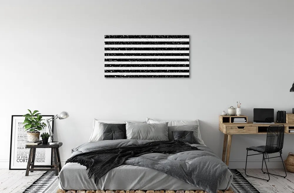 Obrazy na plátně Skvrny zebra pruhy 100x50 cm