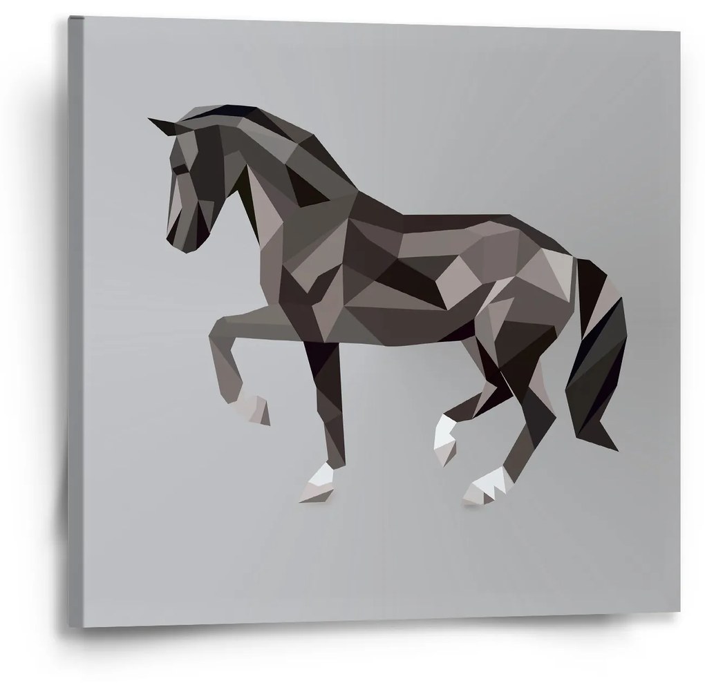 Obraz SABLIO - Kůň 50x50 cm
