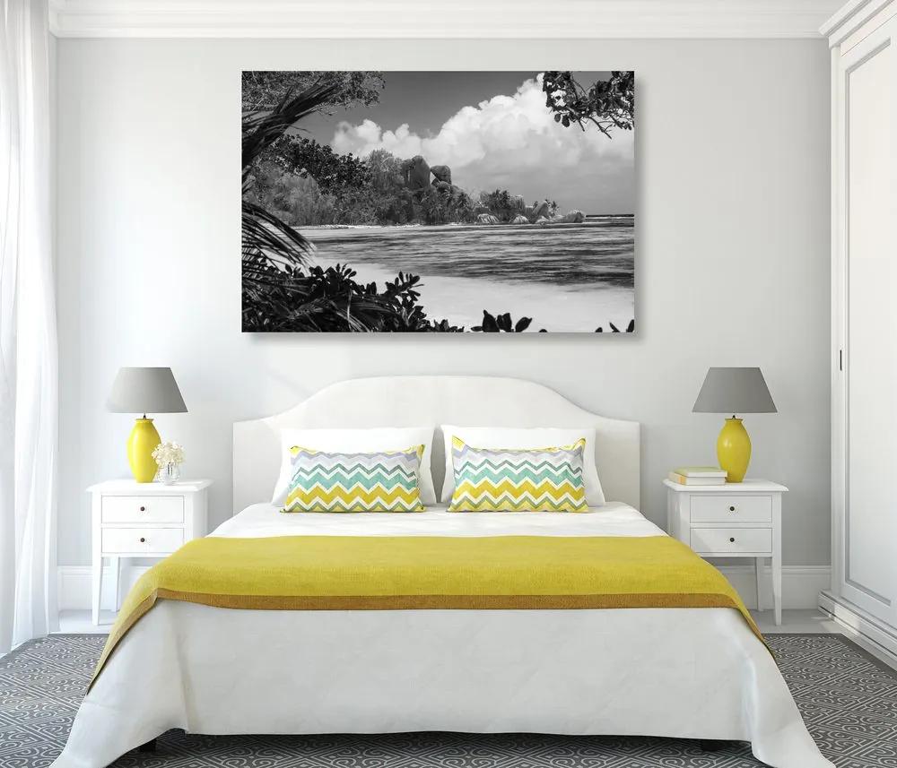 Obraz nádherná pláž na ostrově La Digue v černobílém provedení Varianta: 120x80