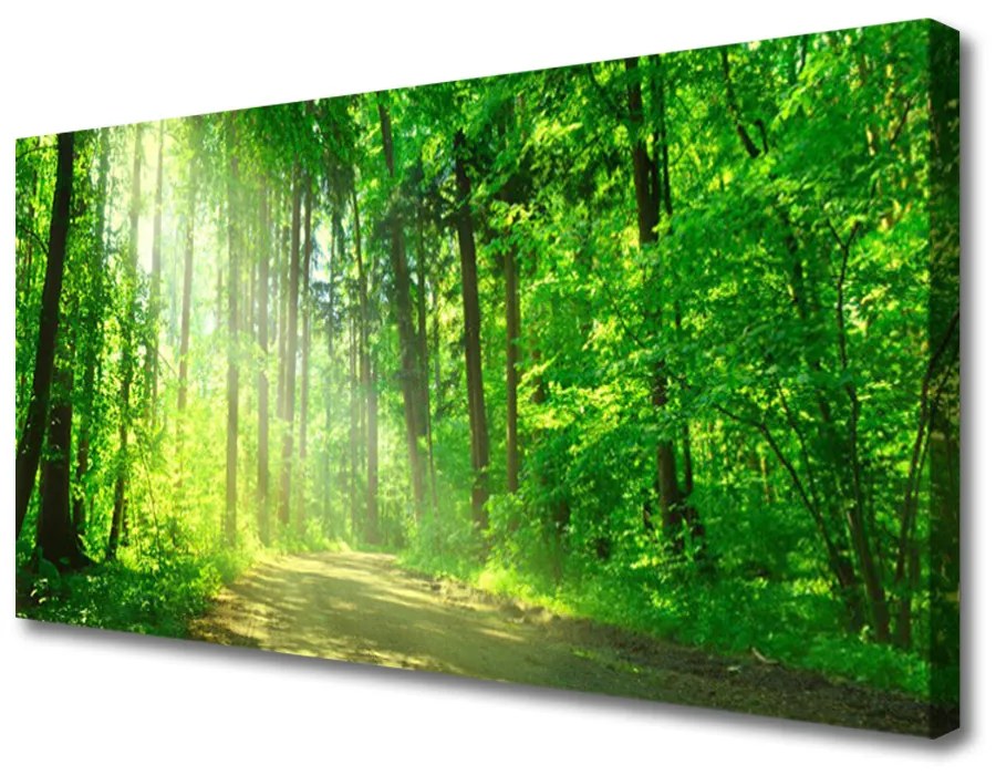 Obraz na plátně Les Cestička Stromy Příroda 100x50cm