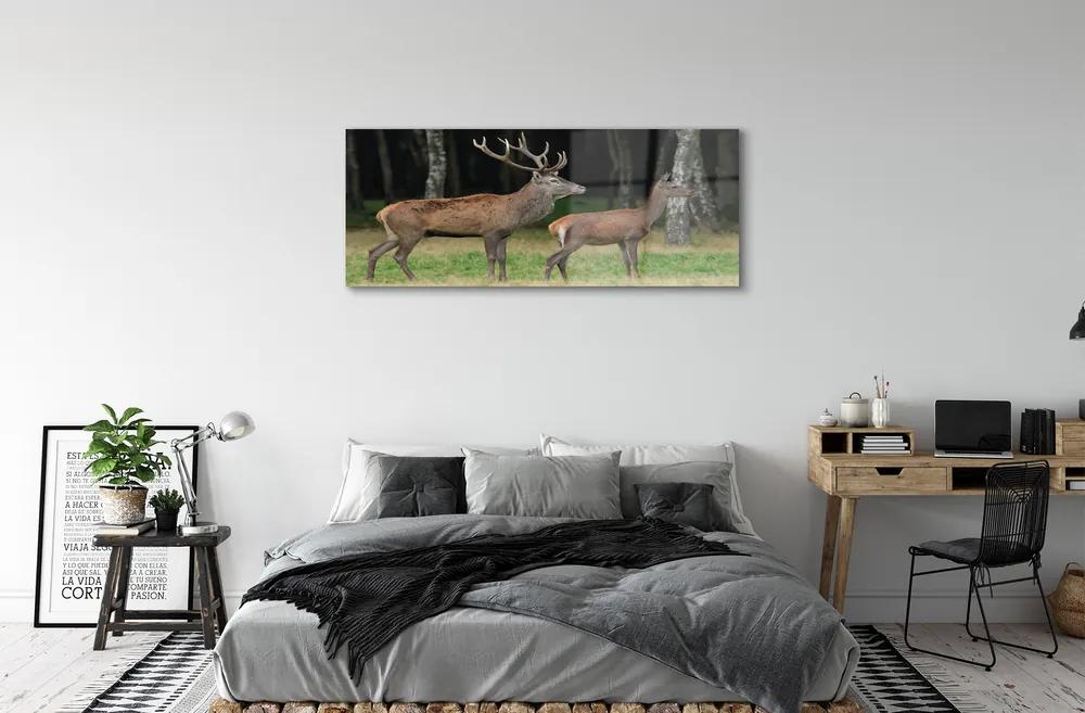 akrylový obraz jelen lesní 120x60 cm
