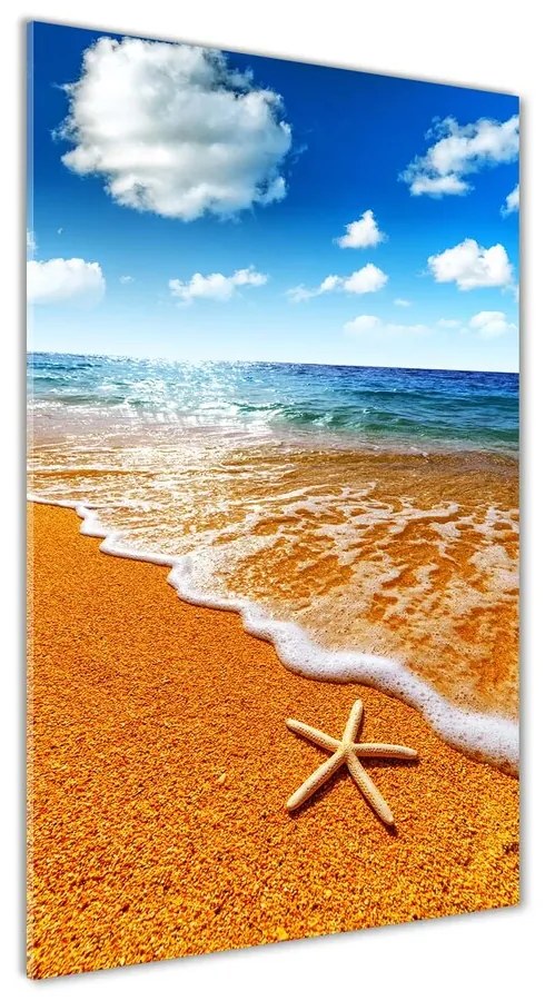Wallmuralia Foto obraz akrylový Hvězdice na pláži 60x120 cm