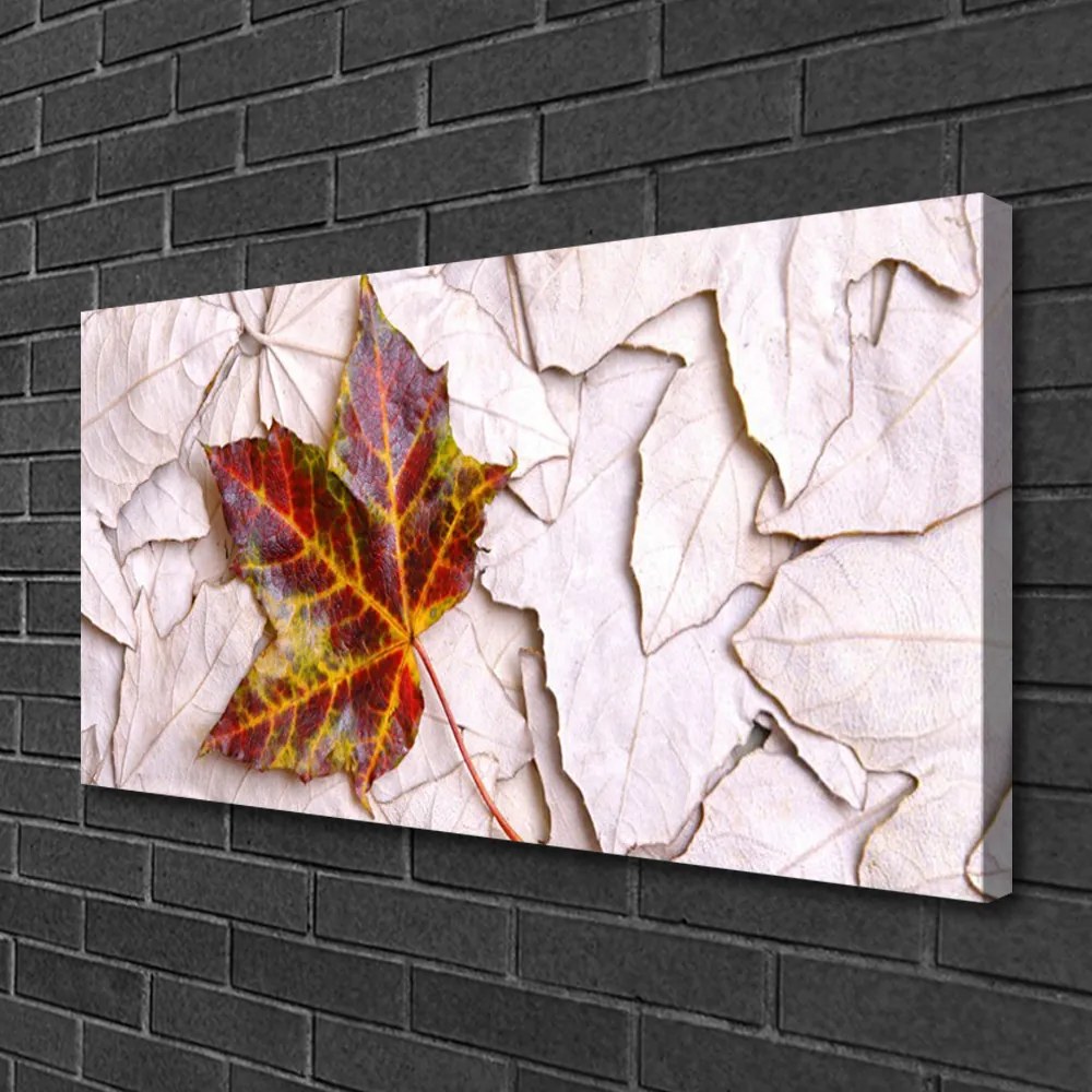 Obraz na plátně Listy Rostlina 140x70 cm