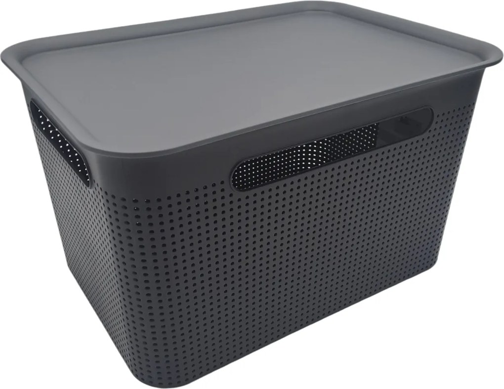 Rotho Úložný box s víkem a s madly BRISEN 16l, 36x26,2x21cm, černý