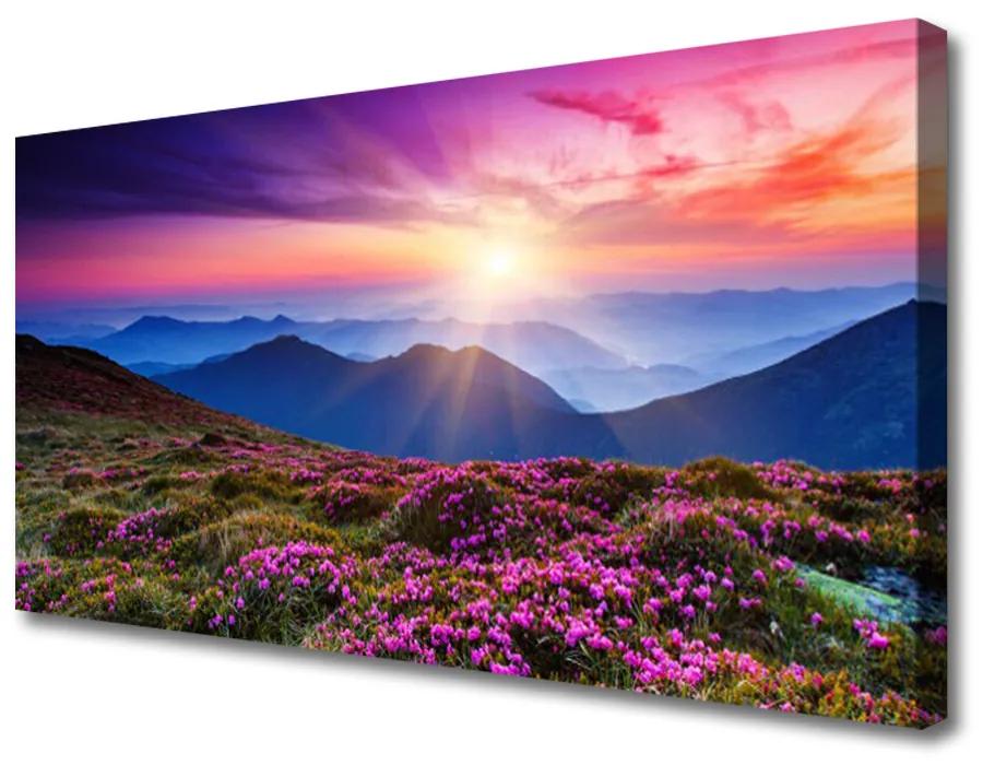 Obraz na plátně Hora Louka Květiny Krajina 120x60 cm