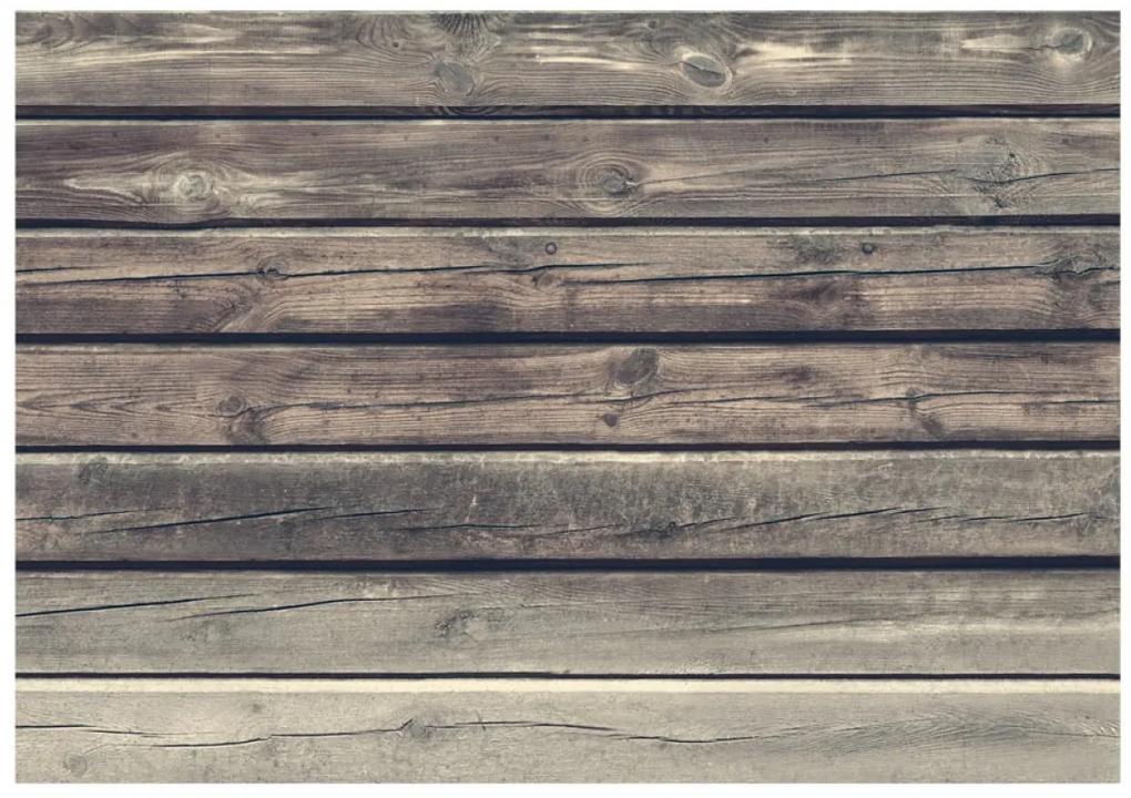 Tapeta motiv dřevo (150x105 cm) - Murando DeLuxe