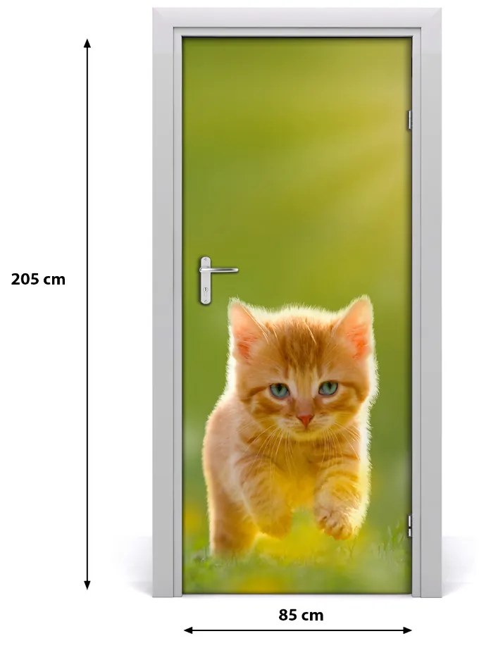Samolepící fototapeta na dveře Rudá kočka 85x205 cm