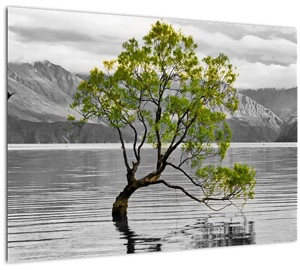 Obraz stromu uprostřed jezera (70x50 cm), 40 dalších rozměrů