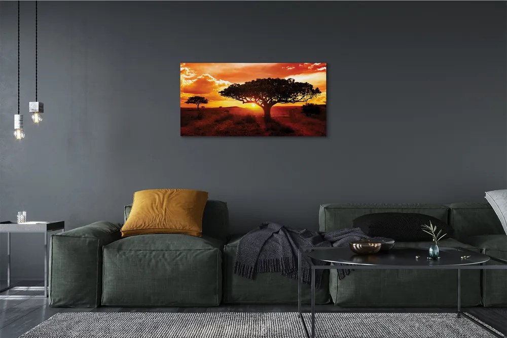 Obrazy na plátně Stromy mraky západ 125x50 cm