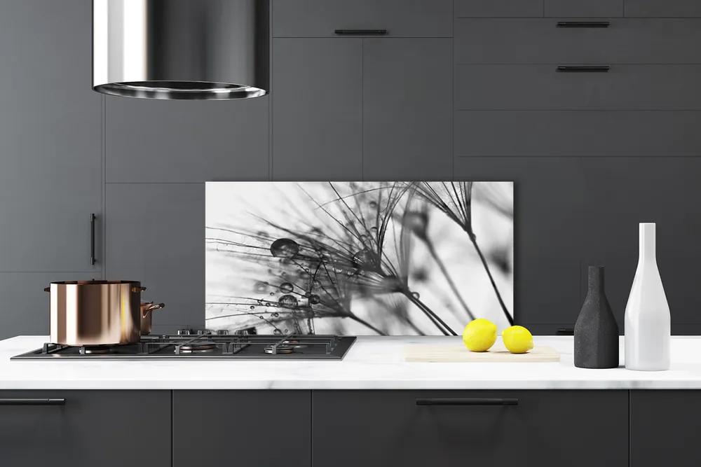 Kuchyňský skleněný panel Abstrakce Rostlina 100x50 cm