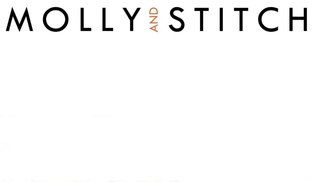 Molly and Stitch vodítko ,,Butter” City červené se stříbrnými prvky (Molly and Stitch vodítko ,,Butter” City červené se stříbrnými prvky)