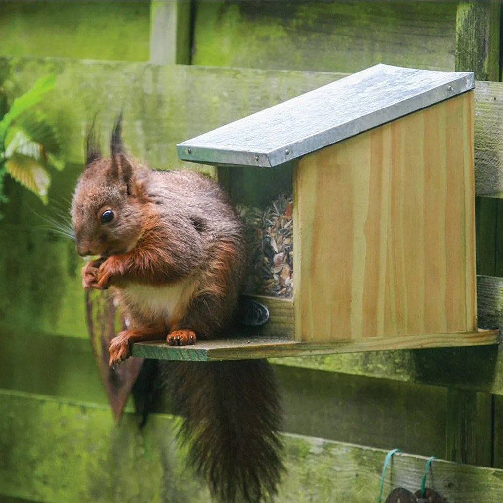 Krmítko pro veverky Ema, 19x12,5x25,5 cm, dřevo/kov, hnědá