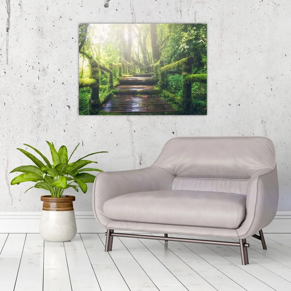 Skleněný obraz - dřevěné schody v lese (70x50 cm)