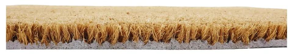 Rohožka z kokosového vlákna 40x60 cm Campervan – Artsy Doormats