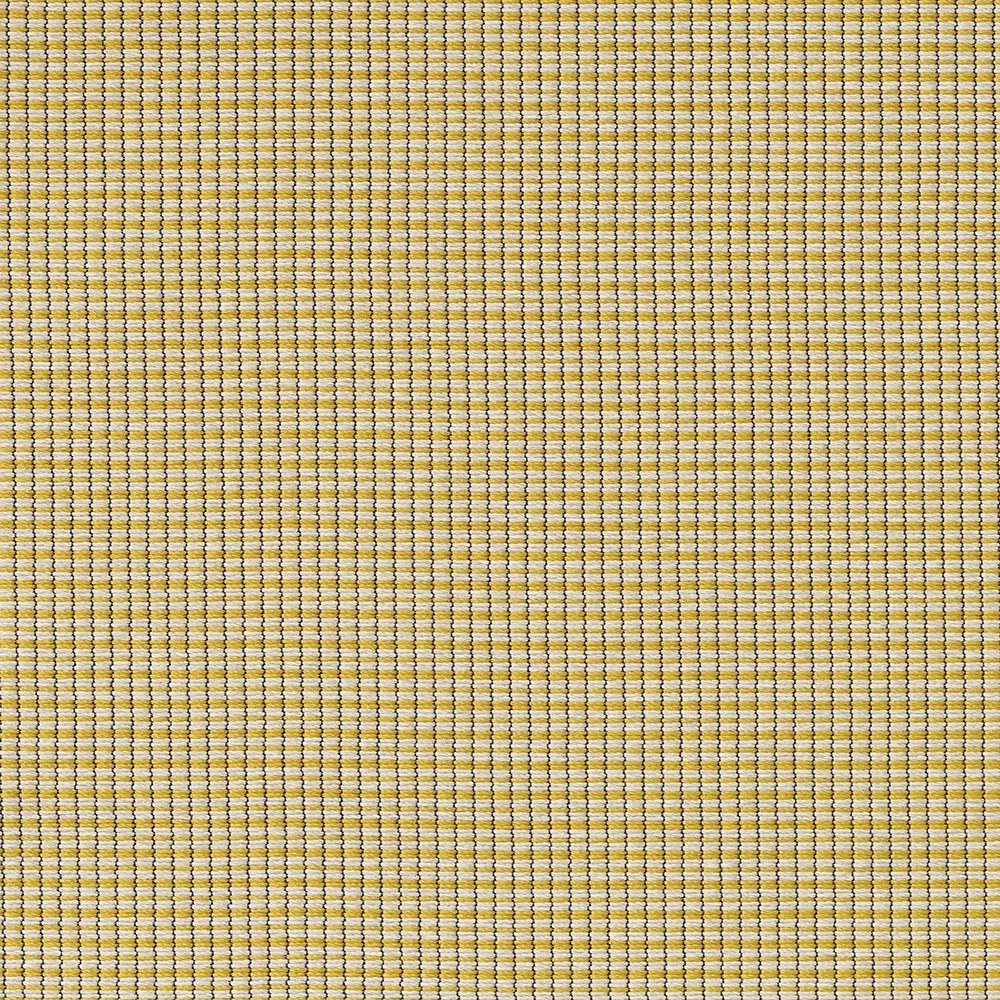 Koberec Grain in/out: Béžovo-žlutá 200x300 cm