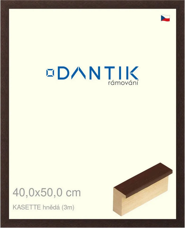 DANTIK rámeček 40x50 | KASSETTE hnědá (Sklo Čiré)