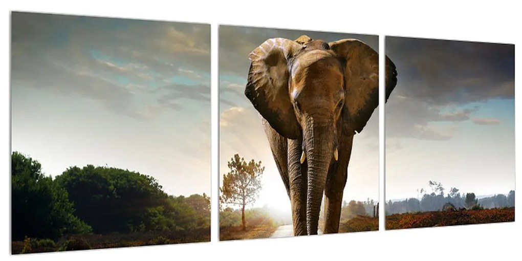 Obraz slona (90x30 cm)