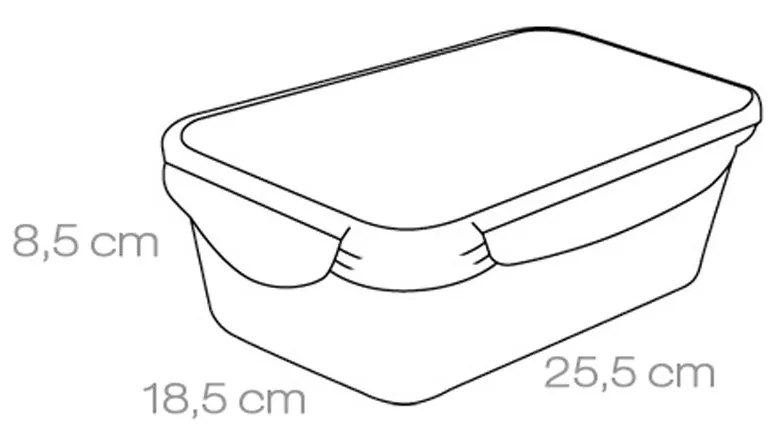 TESCOMA Dóza FRESHBOX 2,5 l, obdélníková