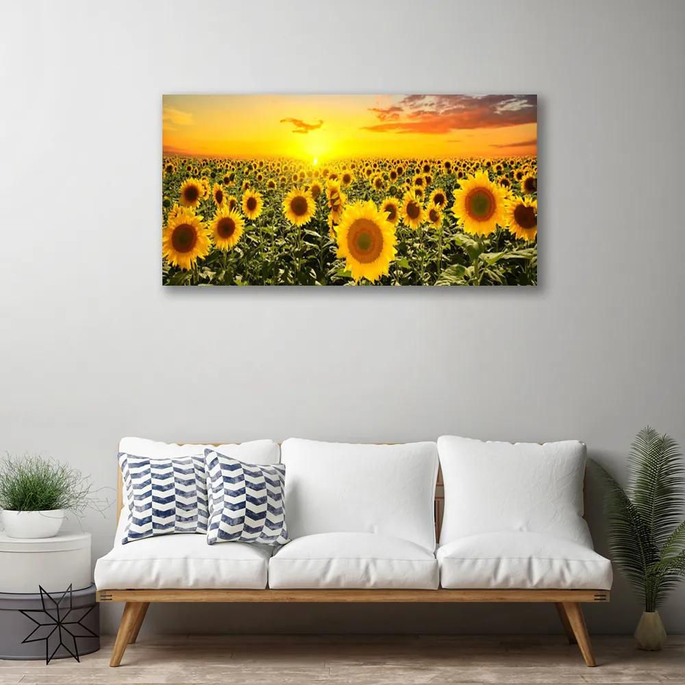 Obraz na plátně Slunečnice 140x70 cm