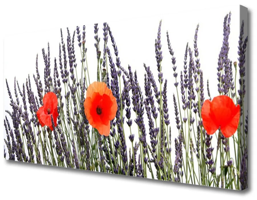 Obraz na plátně Květiny Máky Pole Trávy 140x70 cm