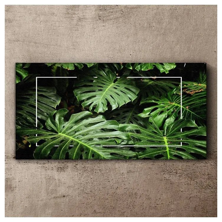 Obraz na plátně - Monstera 100 x 50 cm