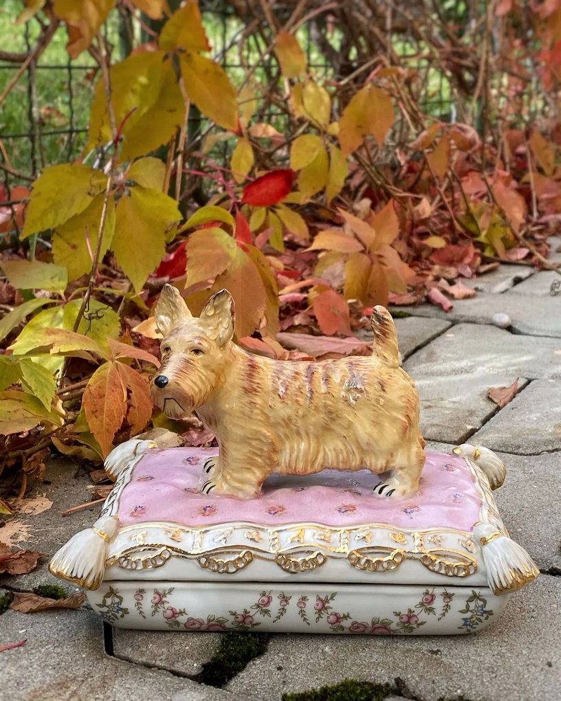 Porcelánová dóza - Scottish Terrier