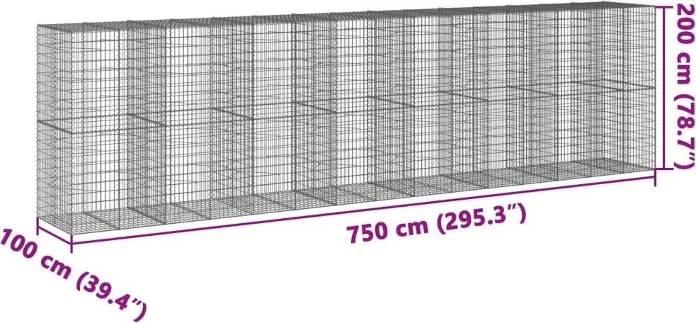 Gabionový koš s víkem 750 x 100 x 200 cm pozinkované železo 3295238