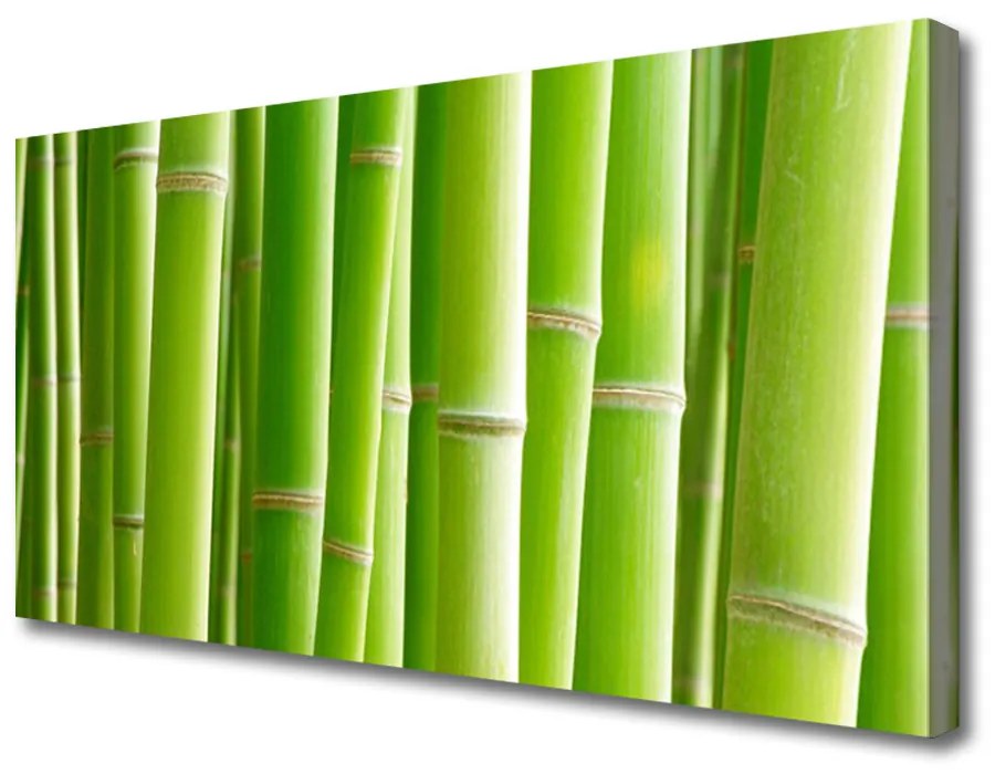 Obraz na plátně Bambus Stonek Květ Rostlina 100x50cm