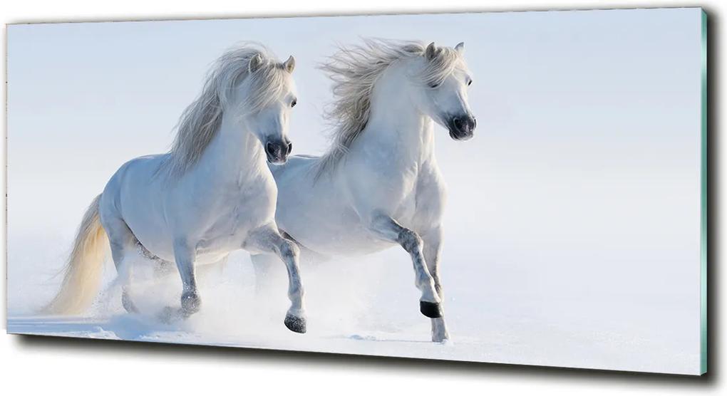 Foto obraz sklo tvrzené Dva koně ve sněhu