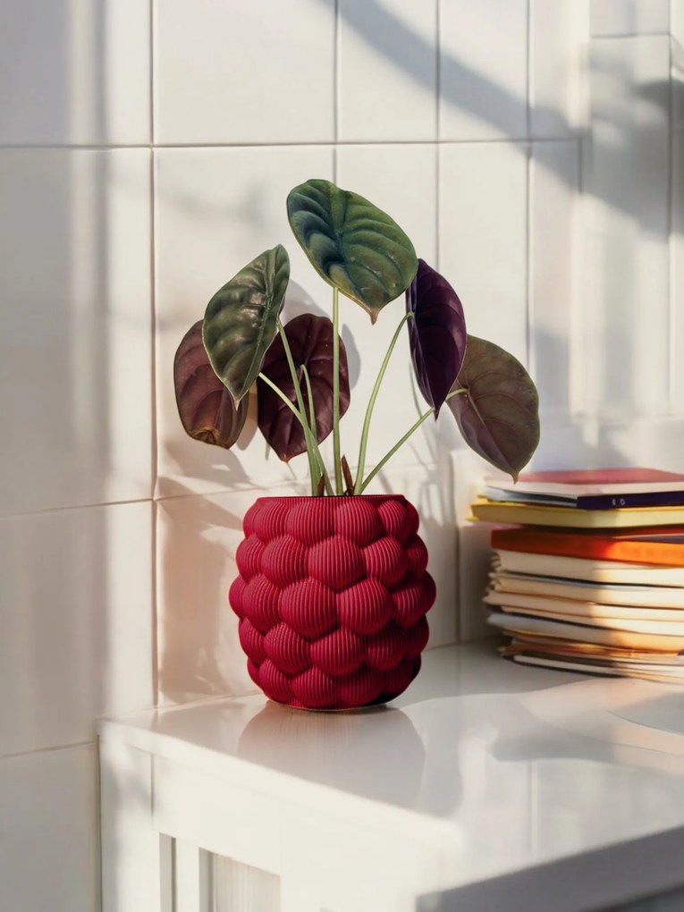 Plantbee Květináč Rubus 10cm bordó