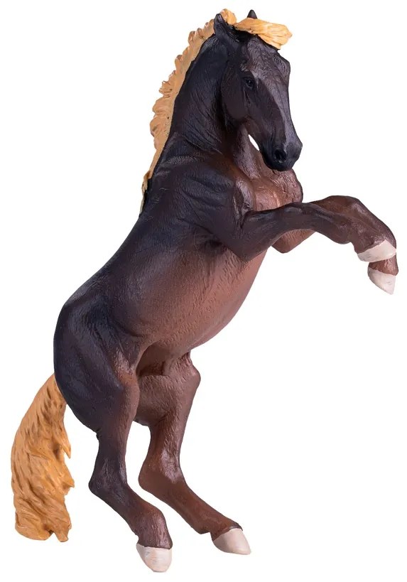 Mojo Hřebec Brumby
