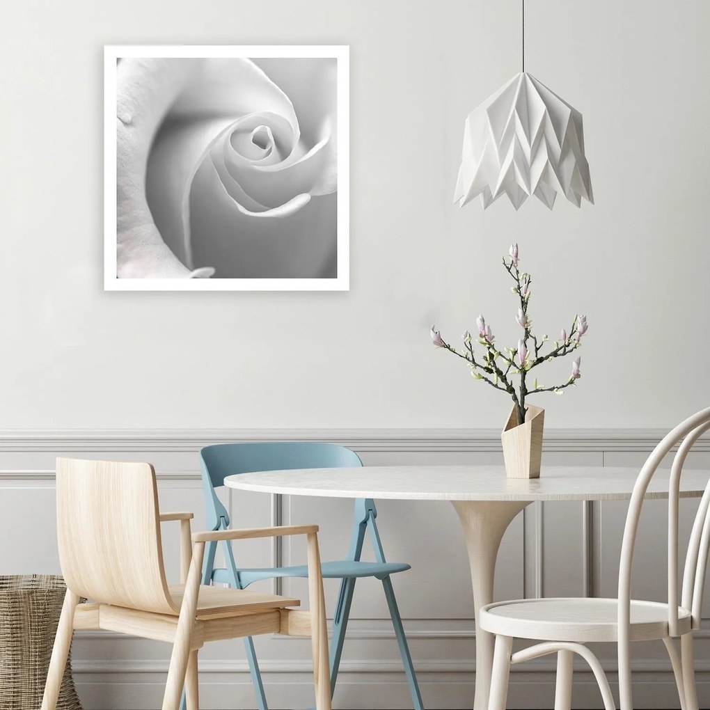 Gario Obraz na plátně Bílá růže v detailním záběru Rozměry: 30 x 30 cm