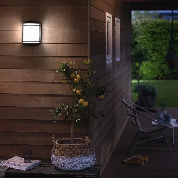 Philips 17320/30/P3 - Venkovní nástěnné svítidlo ANTELOPE LED/6W/230V IP44