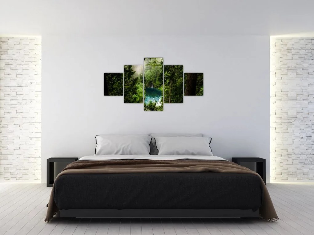Obraz - Průzor mezi stromy (125x70 cm)