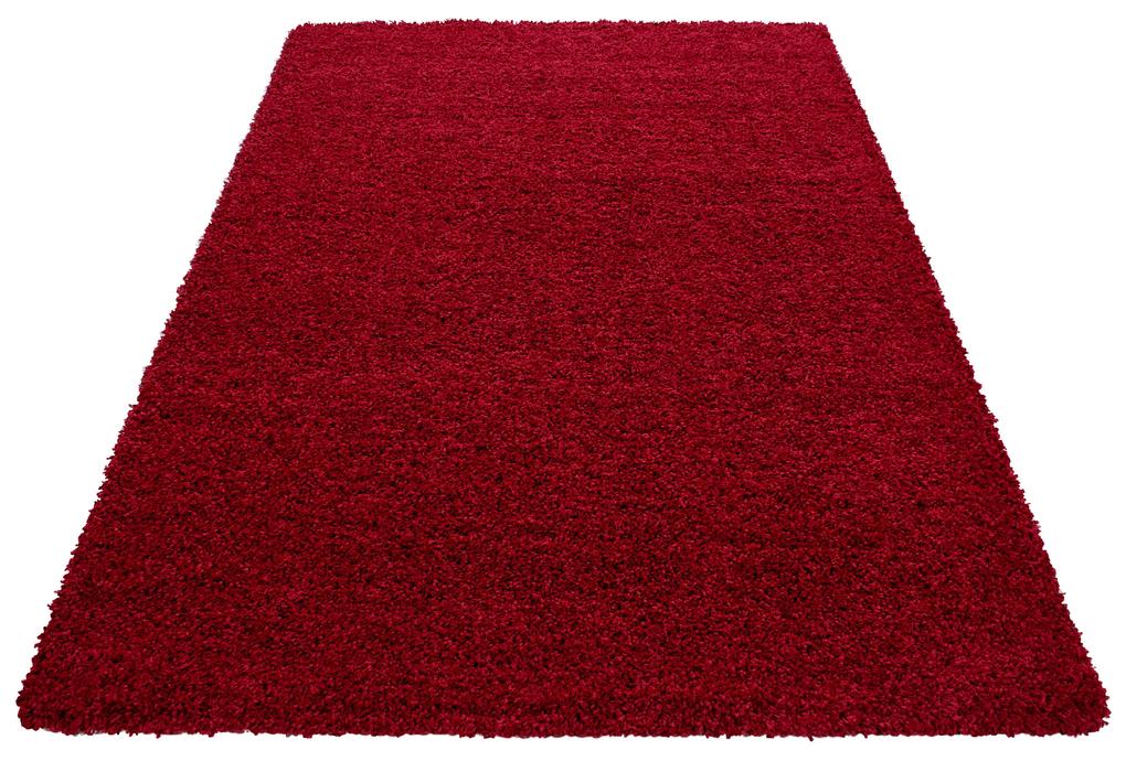 Ayyildiz koberce Kusový koberec Dream Shaggy 4000 Red ROZMĚR: 65x130