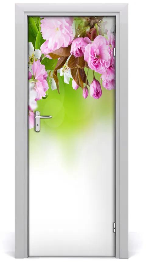 Fototapeta samolepící Jarní květiny 75x205 cm
