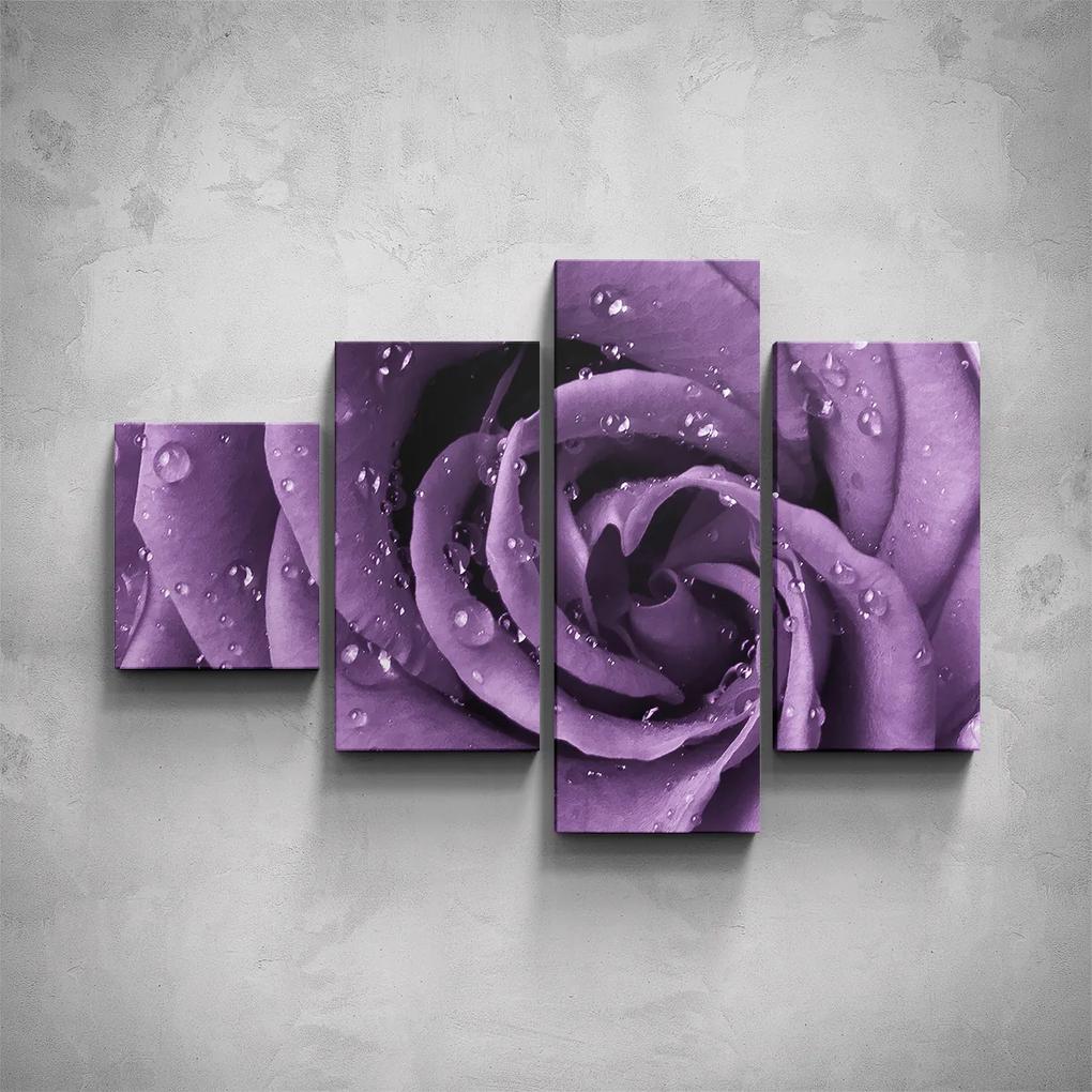 4-dílný obraz - Fialový květ - detail - PopyDesign