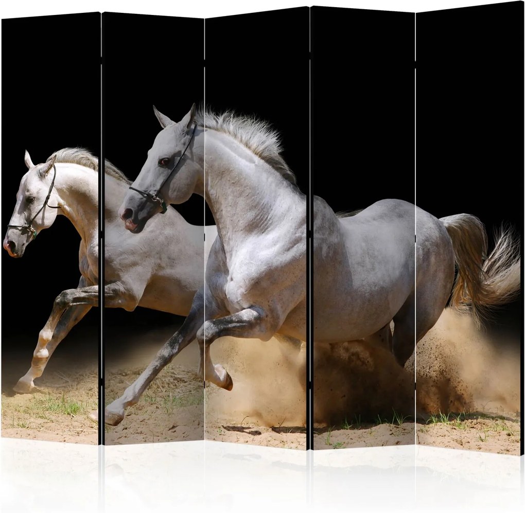 Paraván - Galloping horses on the sand II [Room Dividers] 225x172