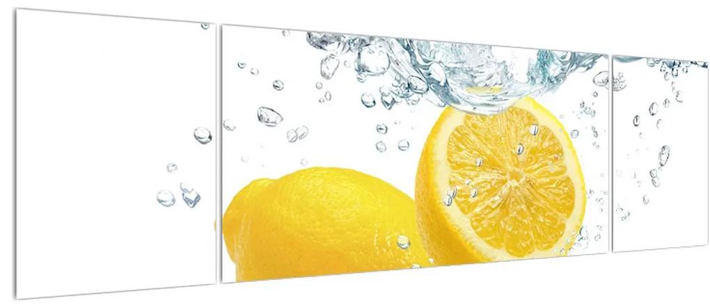 Obraz citrónů (170x50 cm)
