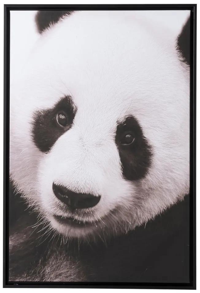 Nástěnný obraz Panda v dřevěném rámu - 64*4,3*94 cm