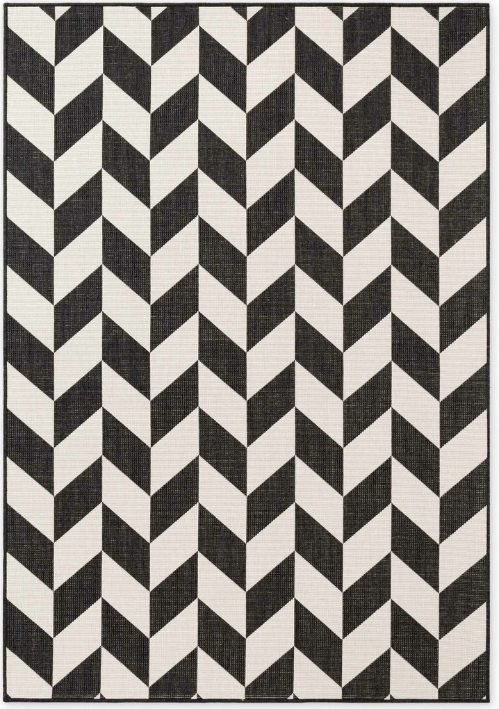 Ted Baker, Kusový koberec Ted Baker Haringey 106378 Black White, 120x170, černobílá, chodba / předsíň