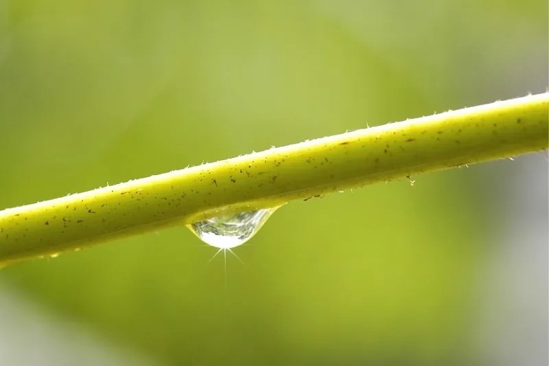 2G Lipov Chránič matrace (podložka) Aloe Vera - 120x200 cm | 1ks