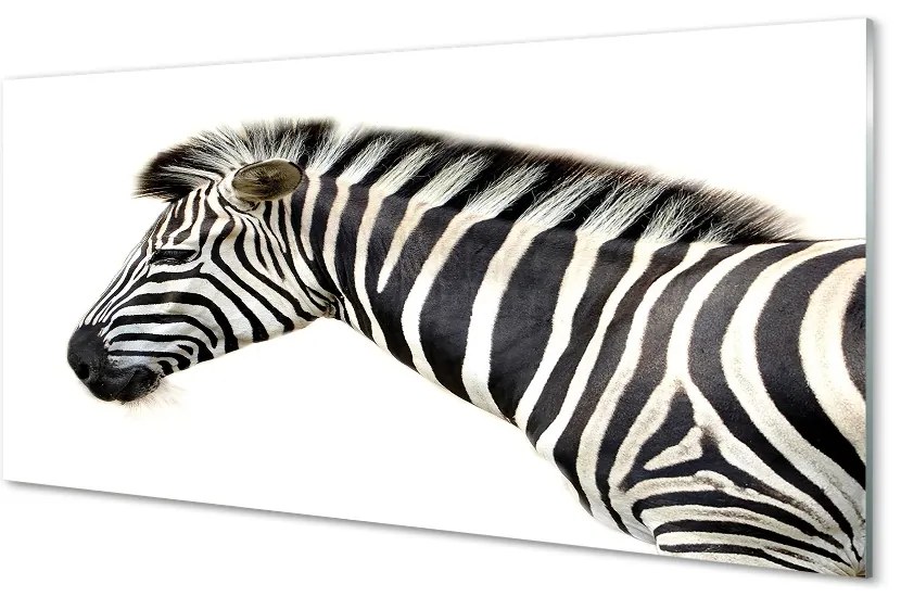 Obraz na skle zebra 100x50 cm